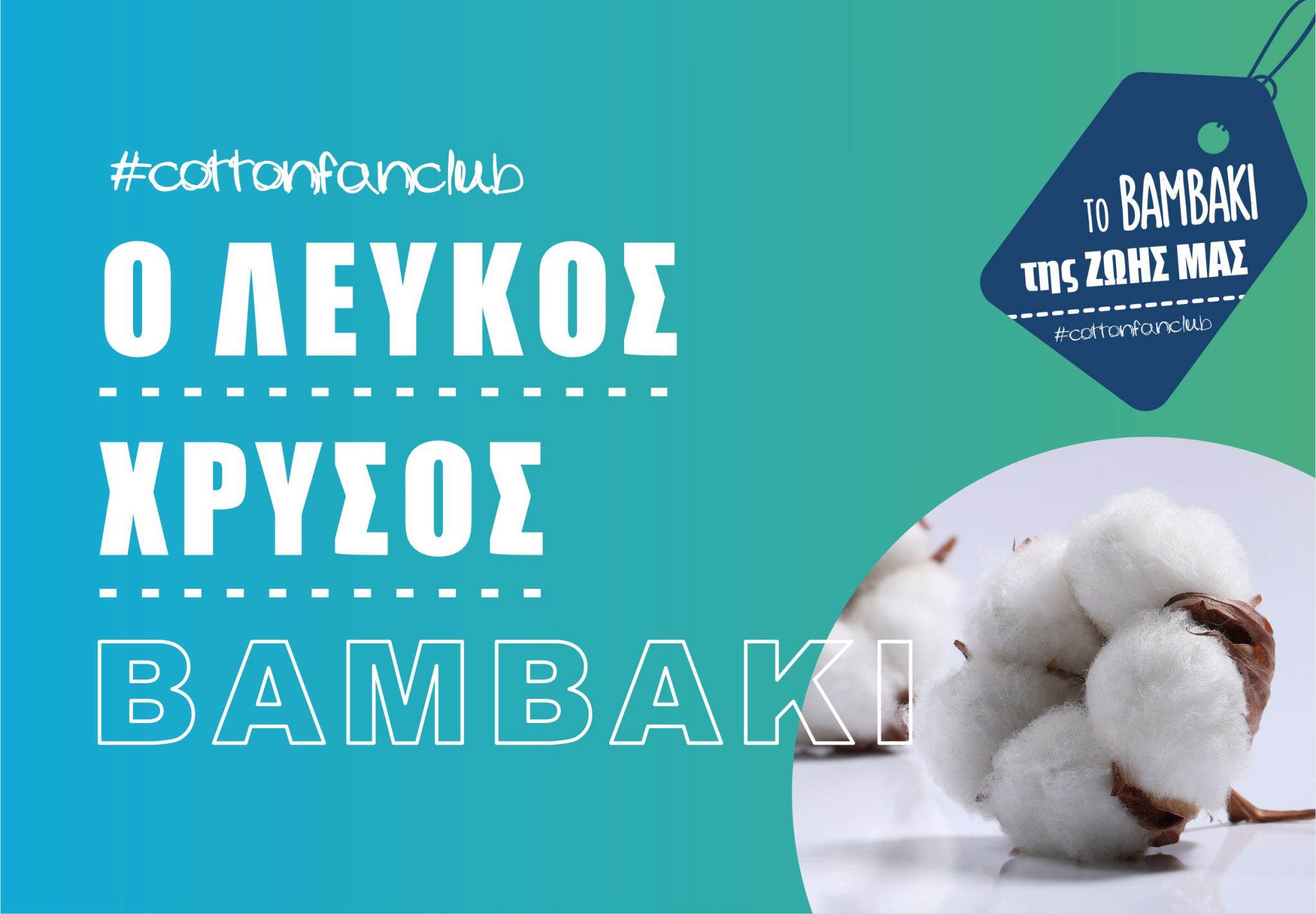 Βαμβάκι Ελληνικό - Ο βασιλιάς του κάμπου